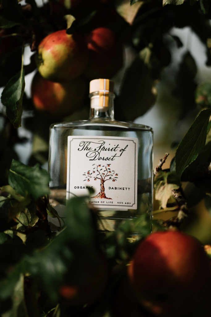 The Spirit of Dorset - Eau de Vie - Pothecary Gin